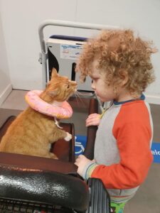 Archie the kind, hospital cat - Time for Kindness